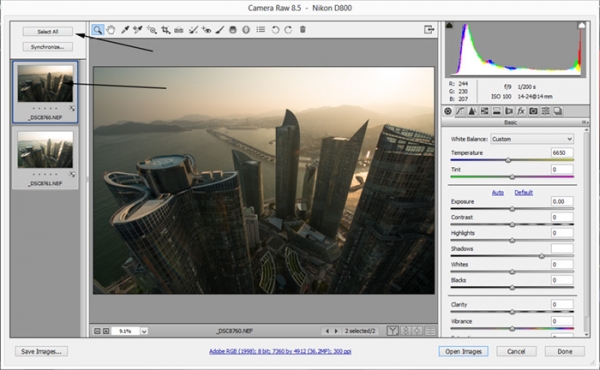 Prepare Your Images in ACR Before editing in Photoshop - Shutter...Evolve