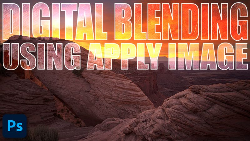 Learn Digital Blending with Shutter Evolve - Shutter...Evolve