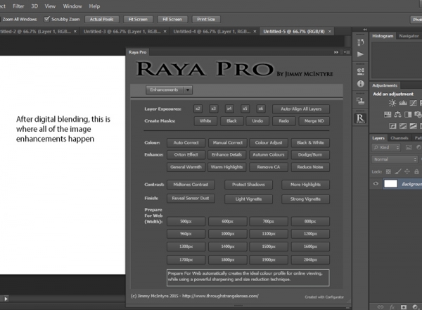 raya-pro-panel - Shutter...Evolve