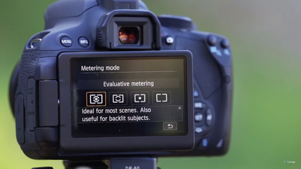 Understanding The 3 Primary Metering Modes - Shutter...Evolve