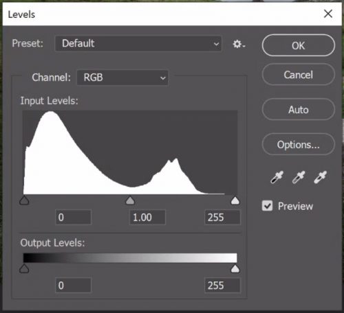 How to Adjust Levels in Photoshop - Tutorial - Shutter...Evolve