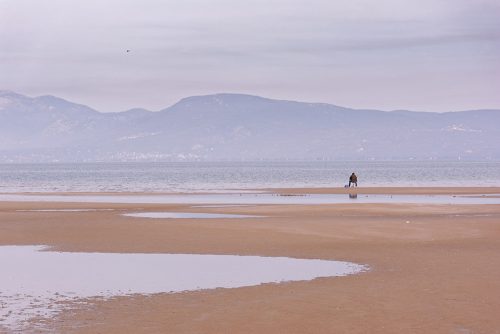 Understanding Balance in Photography Composition - Shutter...Evolve