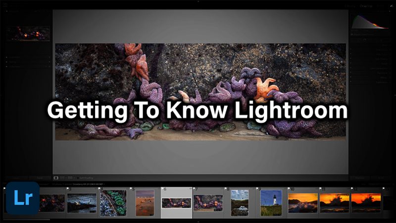Getting to Know Lightroom Basic Editing Basic Editing - Shutter...Evolve