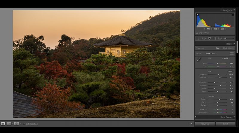 How to get a razor sharp photo? Hints & Tips - Shutter...Evolve