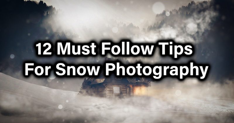 Must Follow Tips for Snow Photography - Shutter...Evolve