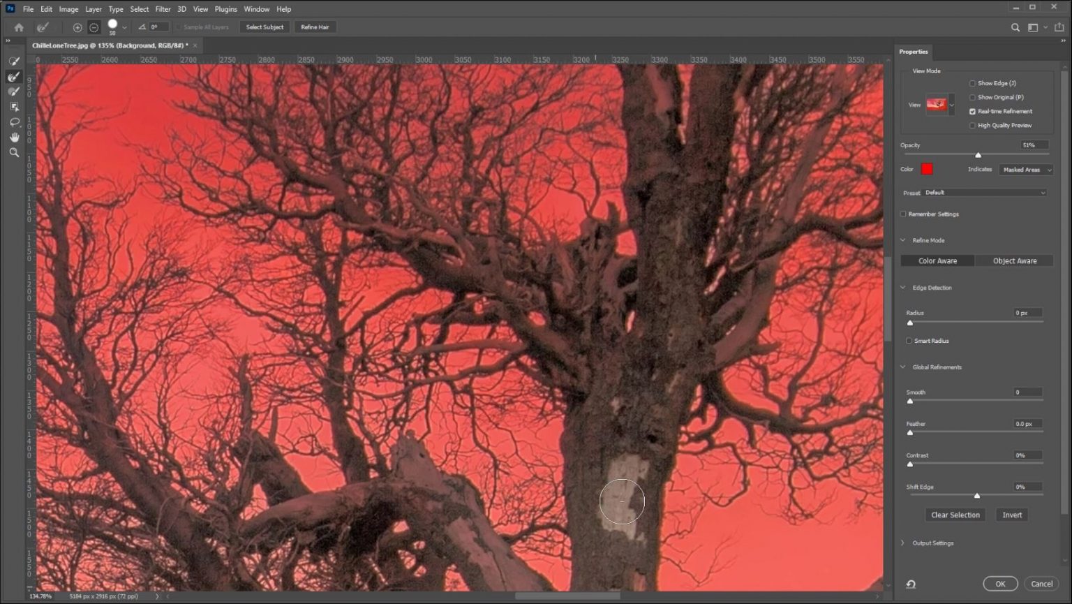 How To Select Branches in Photoshop - Shutter...Evolve