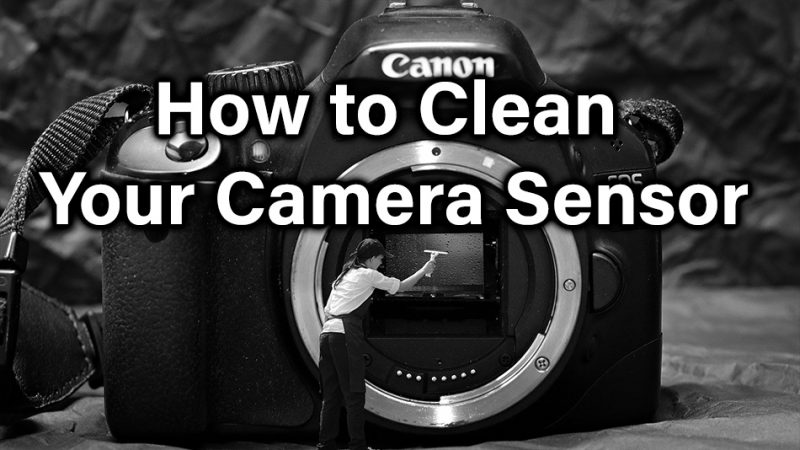 How to Clean Your Camera Sensor - Shutter...Evolve