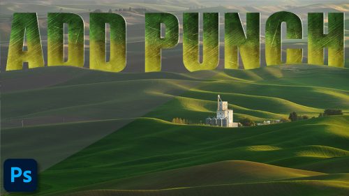 Instantly Add Punch To Your Images - Shutter...Evolve