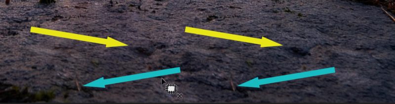 How To Remove Distracting Objects in Photoshop - Shutter...Evolve