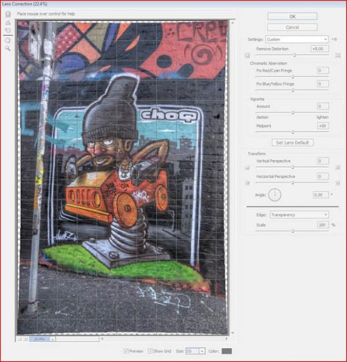 Lens-distortion-correction - Shutter...Evolve