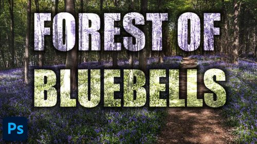 Tutorials Archives - Shutter...Evolve