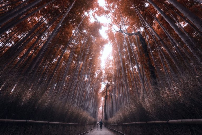 one-click-coldcity - Shutter...Evolve